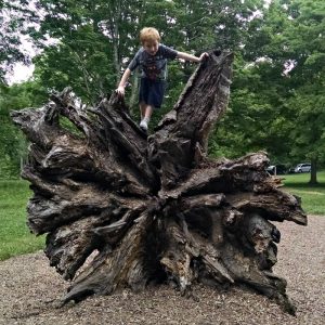 Natural Play Structures – Fun! – Flood Park Advocacy