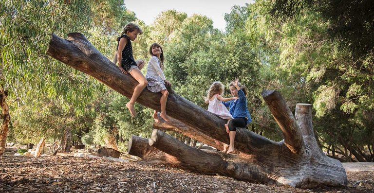 Natural Play Structures – Fun! – Flood Park Advocacy