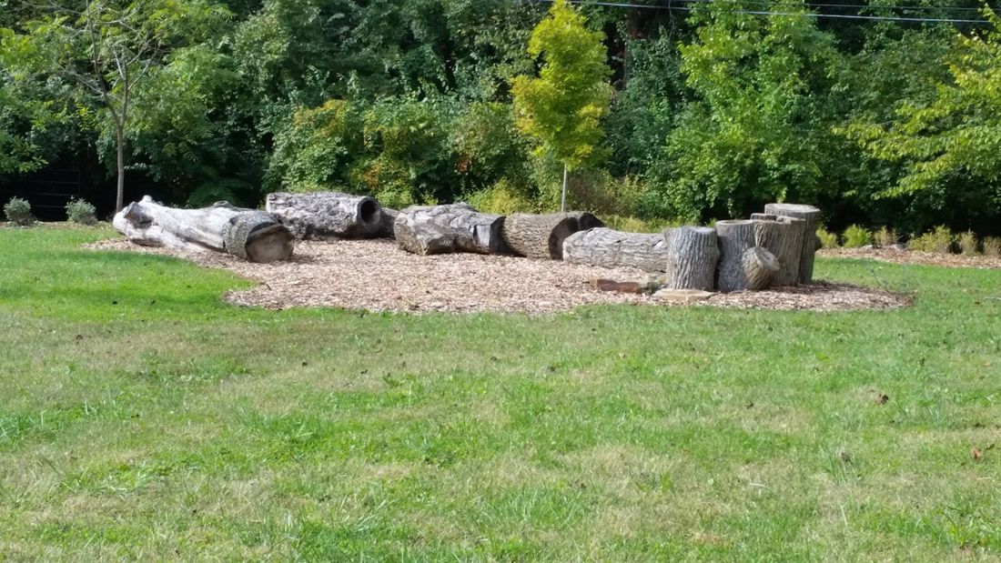 Natural Play Structures – Fun! – Flood Park Advocacy