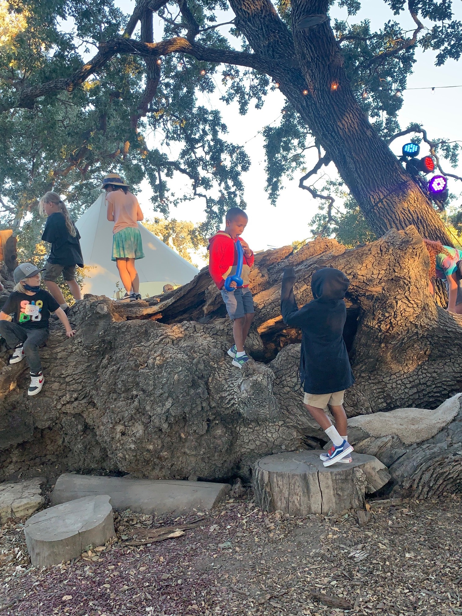 Natural Play Structures – Fun! – Flood Park Advocacy