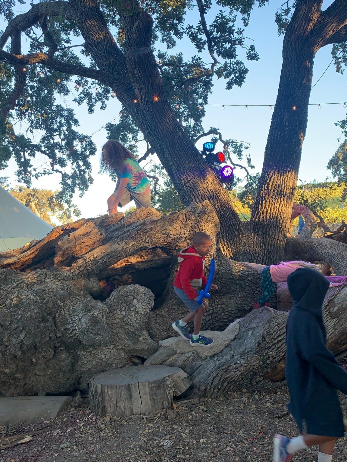 Natural Play Structures – Fun! – Flood Park Advocacy