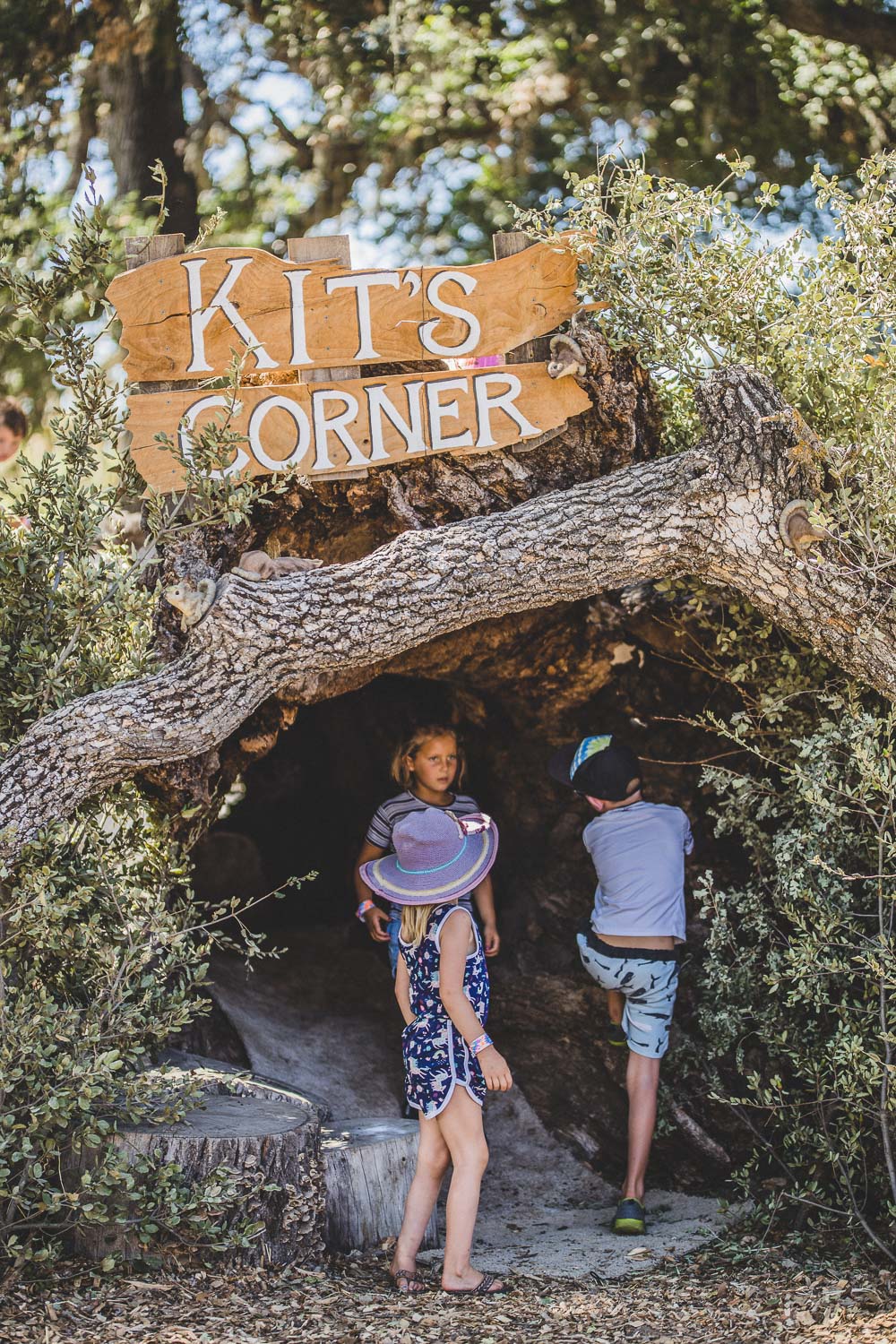 Natural Play Structures – Fun! – Flood Park Advocacy